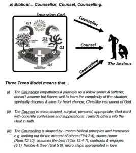 CCEF/Powlison/Lane-Tripp’s “3 Trees Model” – Biblical Counselling Toolkit